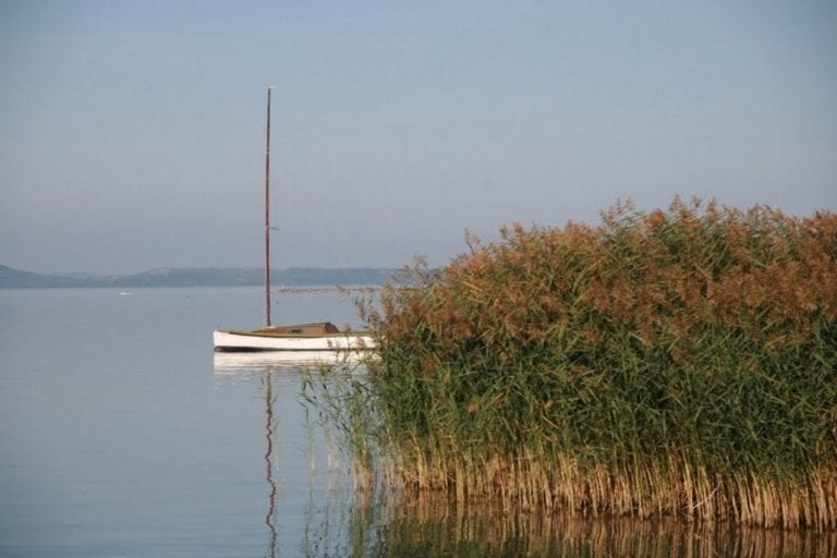 Legszebb magyarországi TAVAK GYŰJTEMÉNYE térképpel, leírással, képekkel ...