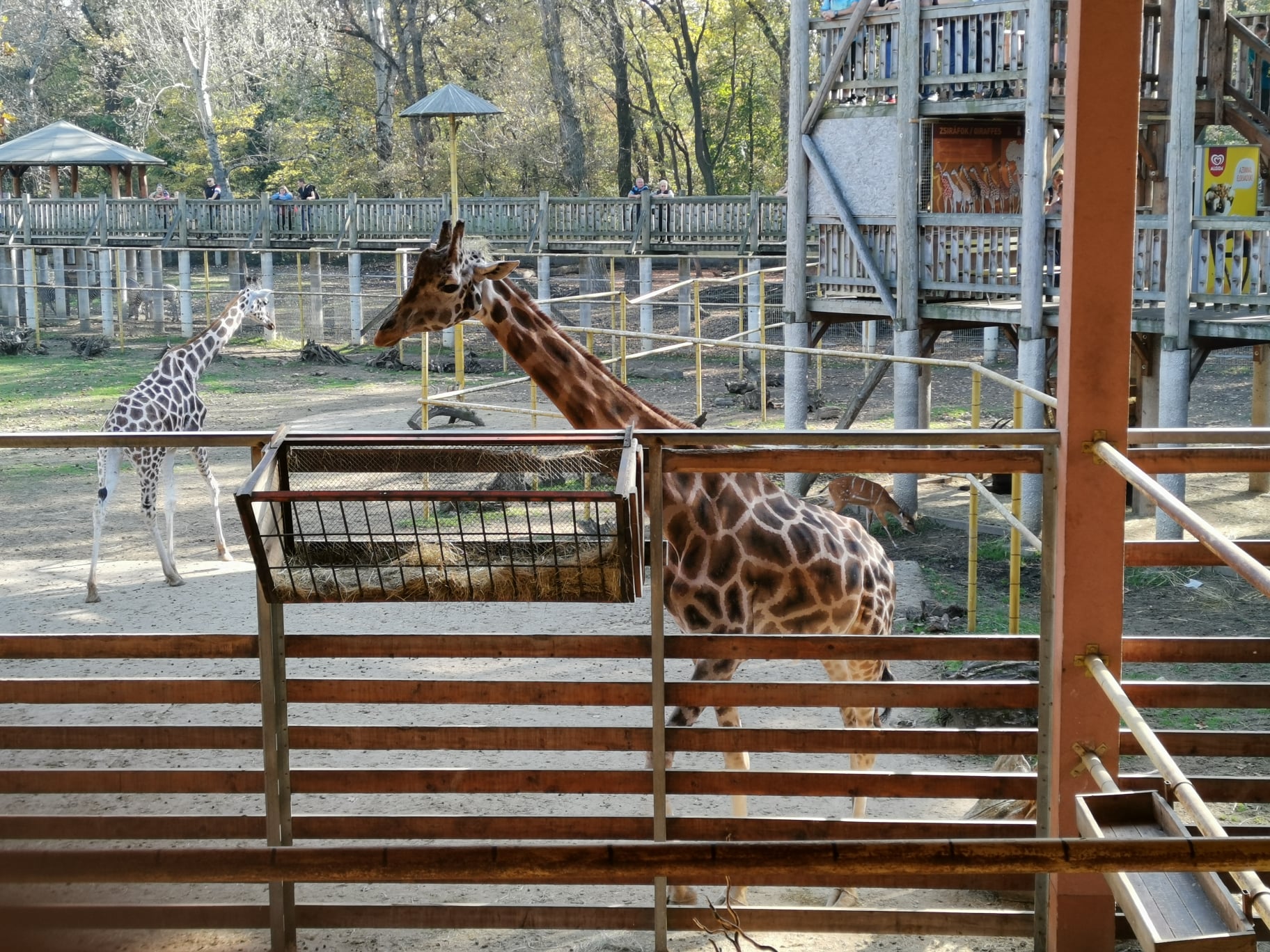 5 +1 állatkert, amit legalább egyszer látni kell - Szallas.hu Blog