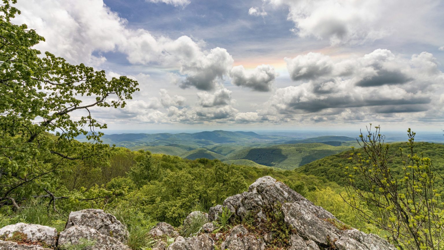 Vadregényes vidék és élménykavalkád – 45 éves lett a Bükki Nemzeti Park ...