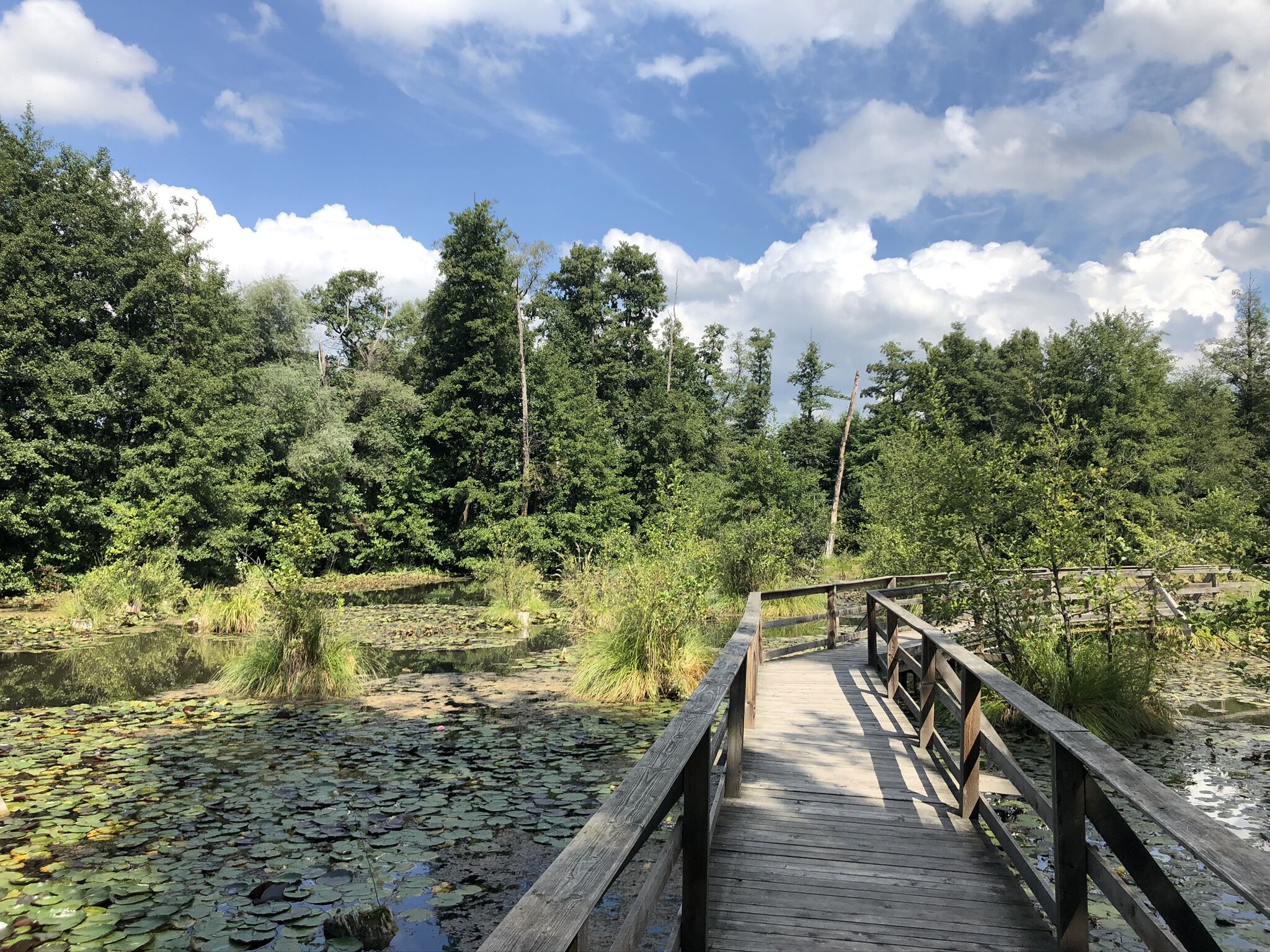 Nagy romantikatérkép – Ezeket a randihelyszíneket ne hagyd ki idén a ...