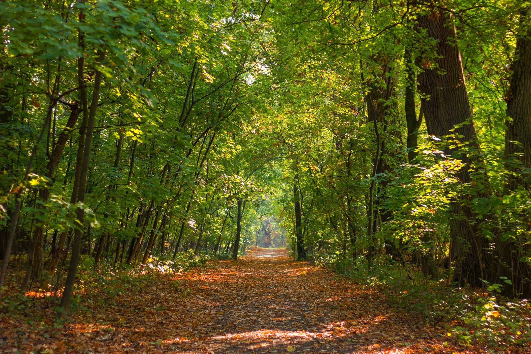 Nagy romantikatérkép – Ezeket a randihelyszíneket ne hagyd ki idén a ...