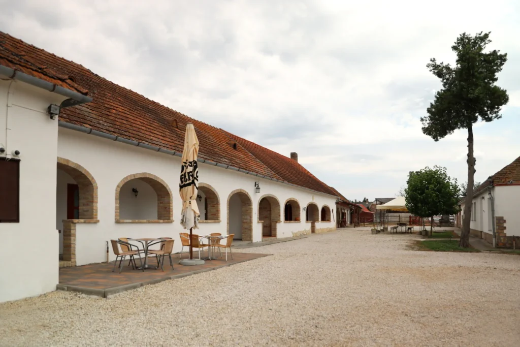 Mini túrák, maxi élmények – 1 órás tanösvény kirándulások - Szallas.hu Blog